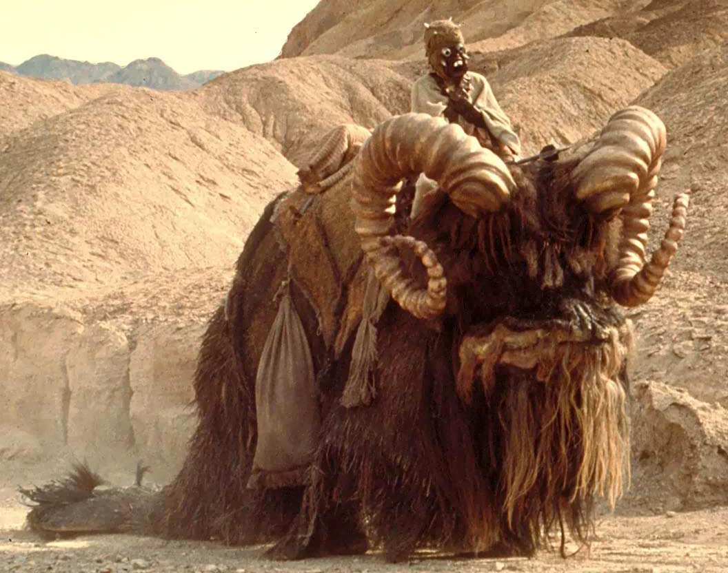 Bantha | Star Wars Wiki | Fandom
