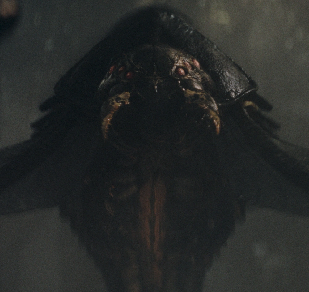 Umbramoth | Star Wars Wiki | Fandom