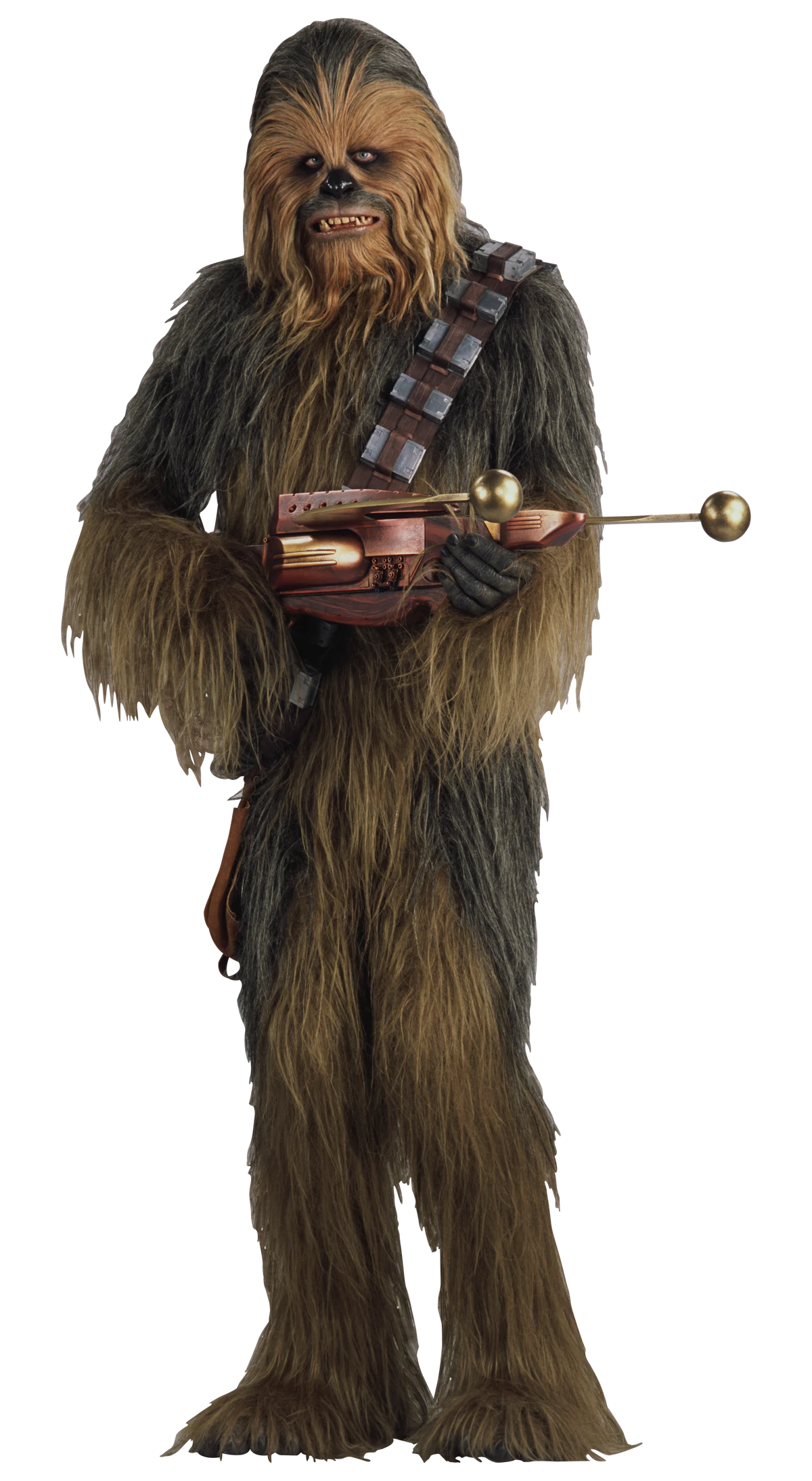 Wookiee | Star Wars Wiki | Fandom