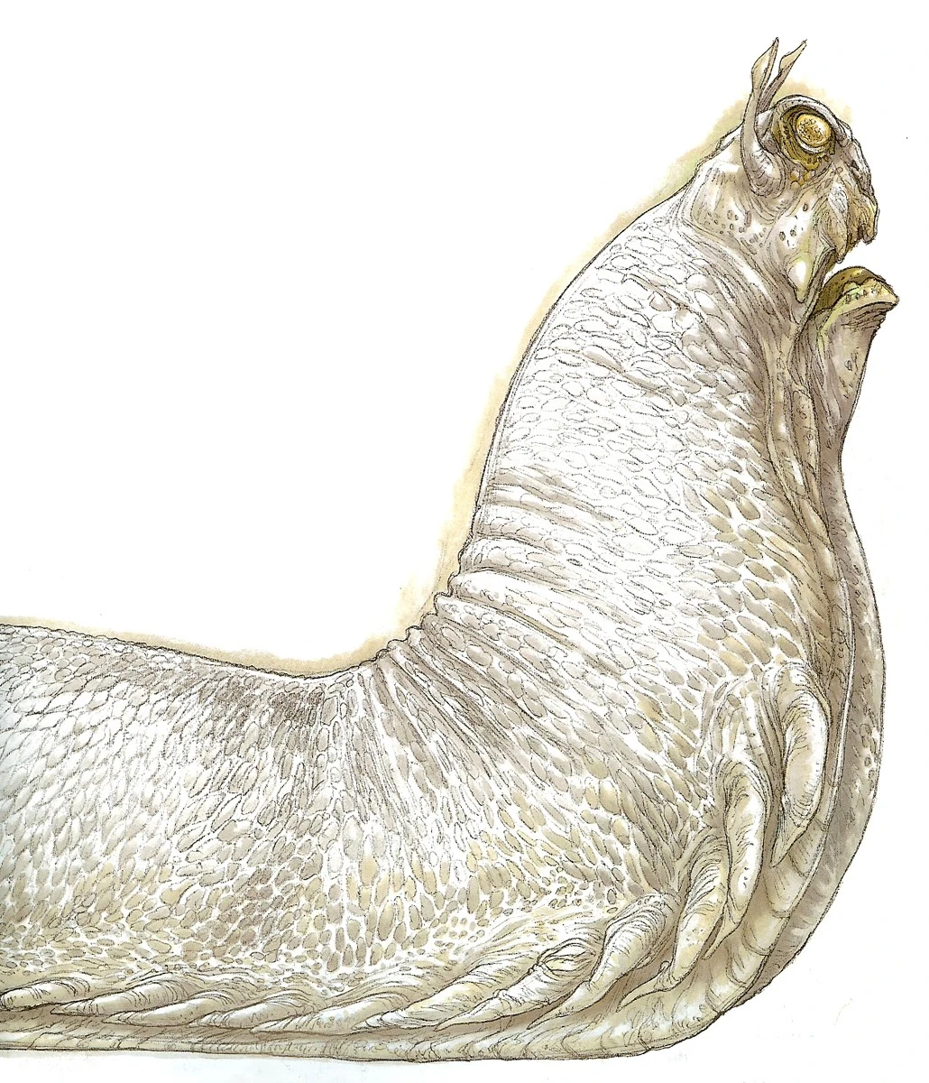 Limace des marais | Star Wars Wiki | Fandom