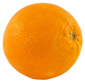 Orange | Fruit Gacha Wiki | Fandom