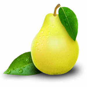 Pear | Fruit Gacha Wiki | Fandom
