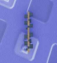 Elderberry | Fruit Mergers Wiki | Fandom