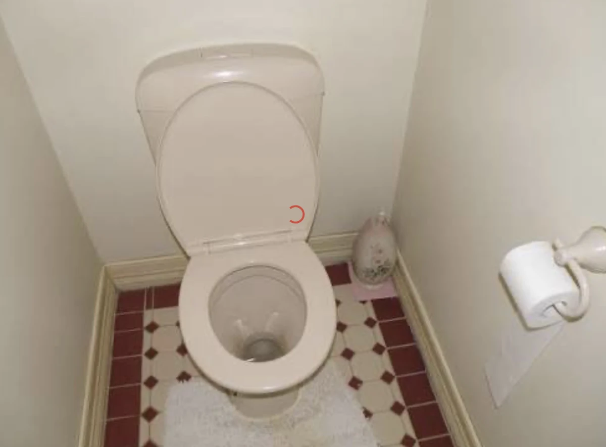 Toilety | Fruit Mergers Wiki | Fandom