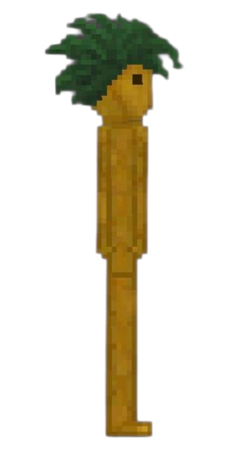 Pineapple | Fruit Playground Wiki | Fandom