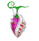 String Fruit | Fruit Seas Wiki | Fandom