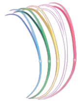 String Fruit | Fruit Seas Wiki | Fandom