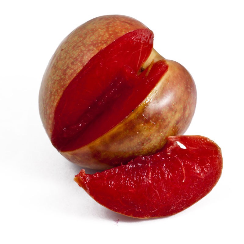 Pluot | Fruit Wiki | Fandom