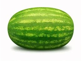Watermelon | Fruit Wiki | Fandom