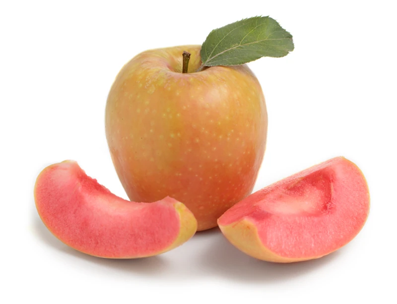 Apple/Hidden Rose Apple | Fruit Wiki | Fandom