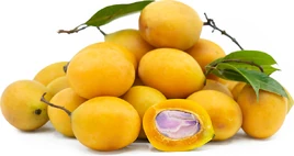 Maprang | Fruit Wiki | Fandom