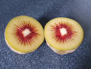 Kiwi/Red Kiwi | Fruit Wiki | Fandom