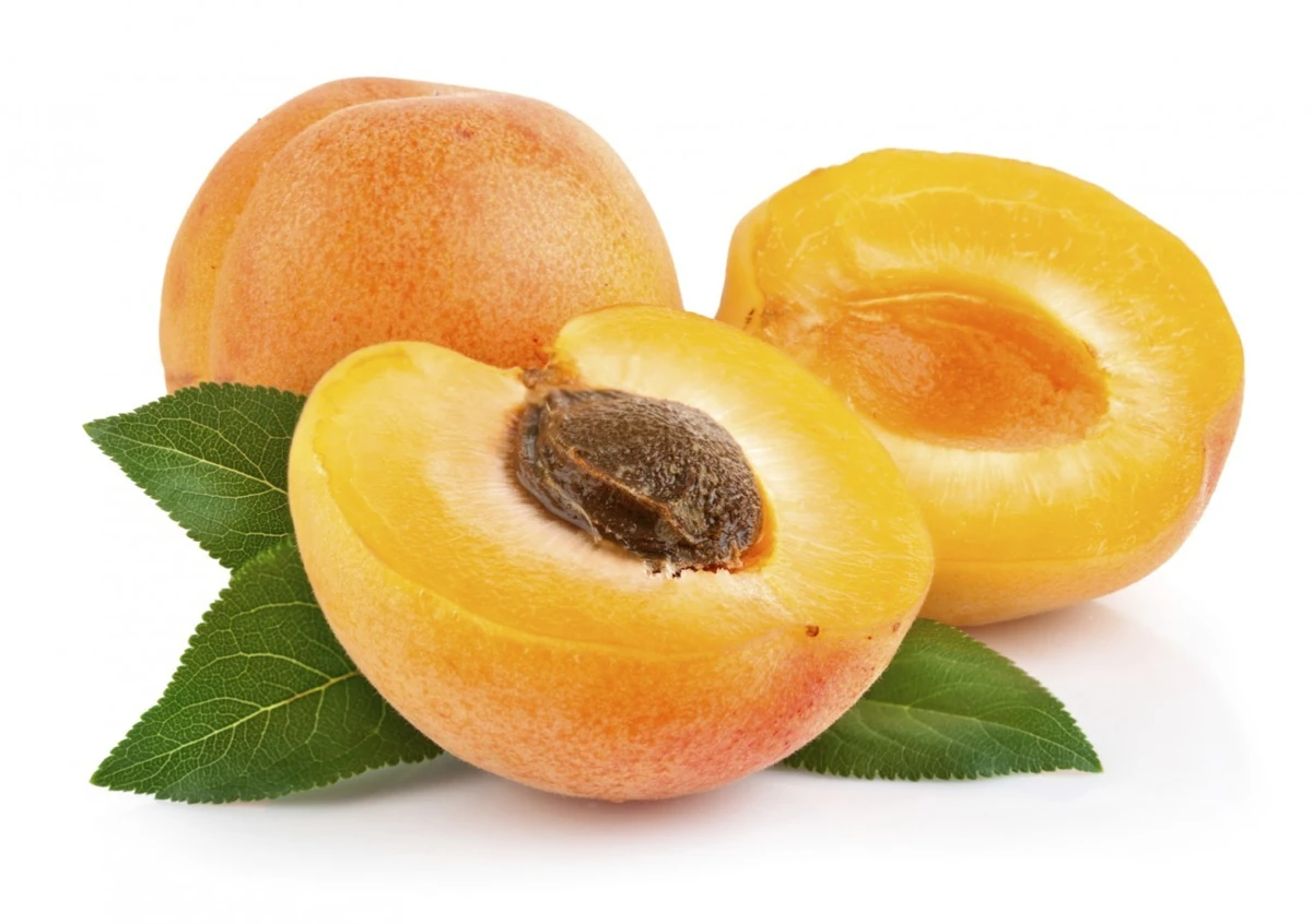 Apricot | Fruit Wiki | Fandom