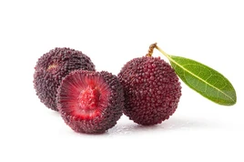 Yangmei | Fruit Wiki | Fandom