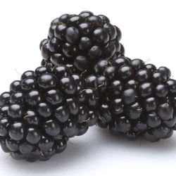 aggregate fruits examples