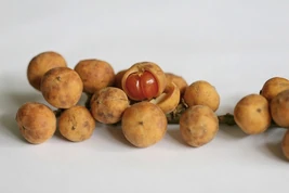 Jentik | Fruit Wiki | Fandom