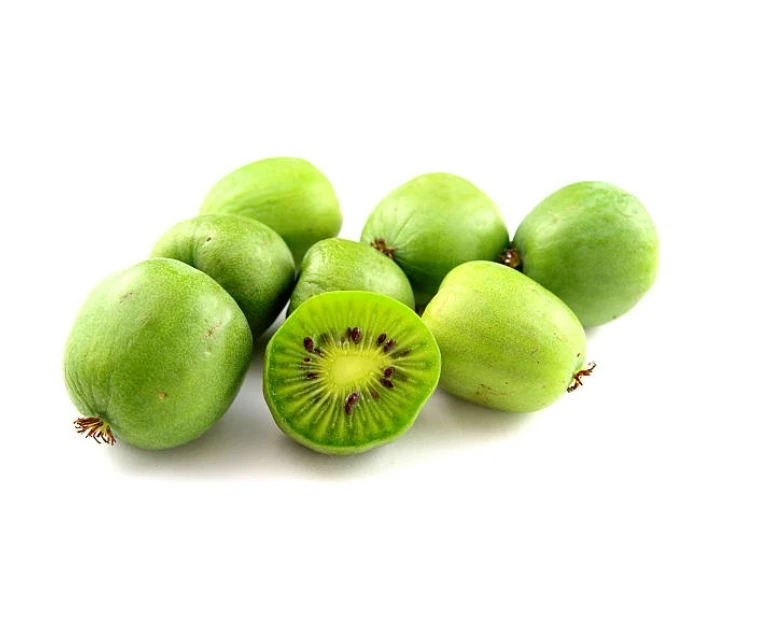 Kiwi/Kiwi Berry | Fruit Wiki | Fandom