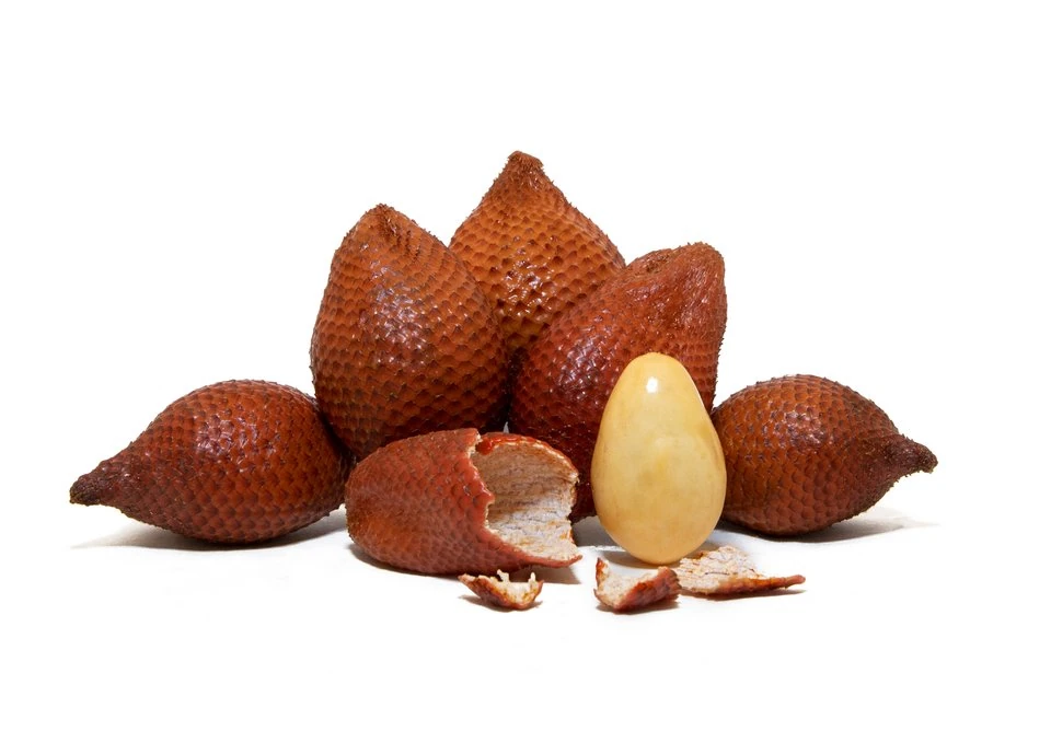 Snakefruit/Thai Snakefruit | Fruit Wiki | Fandom