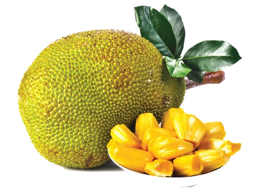 Jackfruit | Fruit Wiki | Fandom