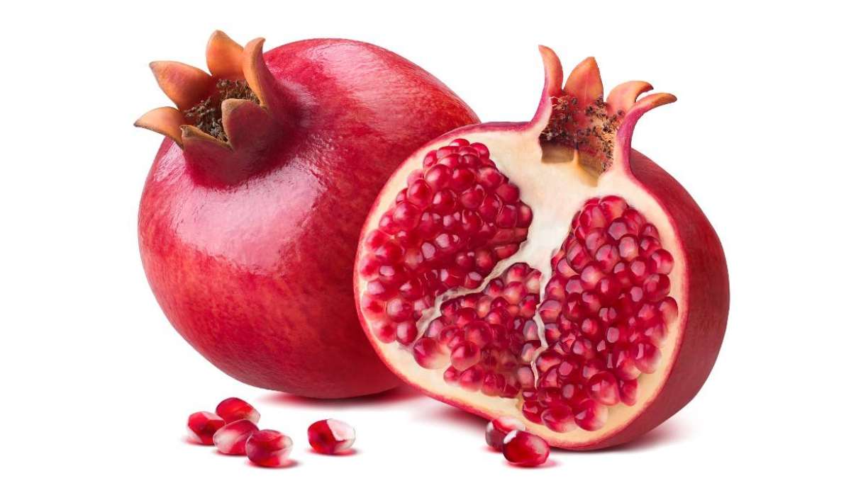 Pomegranate Fruit Wiki Fandom