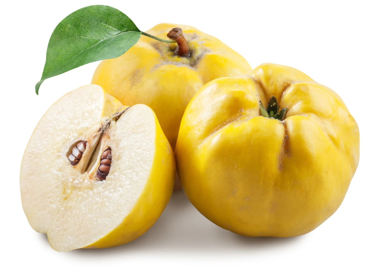 Quince | Fruit Wiki | Fandom