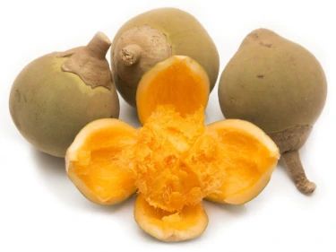 Chupa Chupa | Fruit Wiki | Fandom