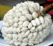 Marang | Fruit Wiki | Fandom