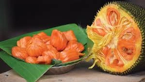 Jackfruit/Red Jackfruit | Fruit Wiki | Fandom
