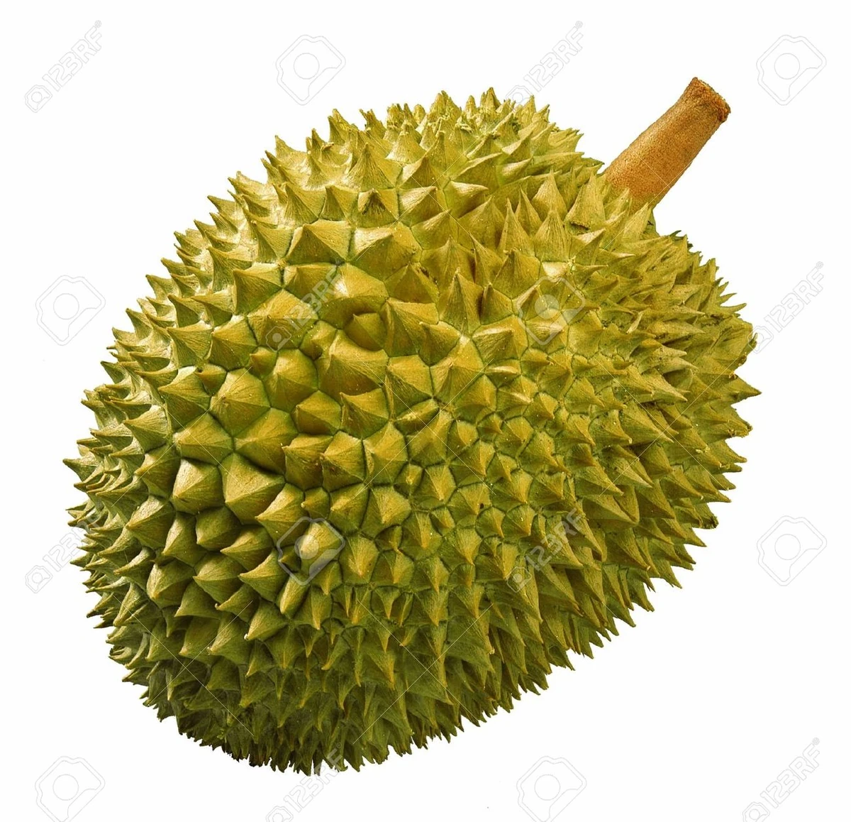 Durian | Fruits' Information Wiki | Fandom