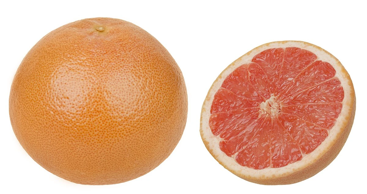 Grapefruit | Fruits' Information Wiki | Fandom