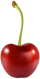 Cherry | Fruits' Information Wiki | Fandom