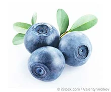 Bilberry | Fruits' Information Wiki | Fandom