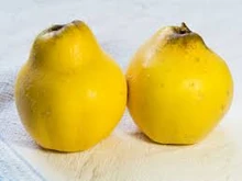 Quince | Fruits' Information Wiki | Fandom