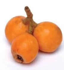 Loquat | Fruits' Information Wiki | Fandom
