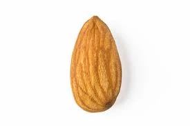 Almond | Fruits' Information Wiki | Fandom
