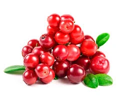 Lingonberry | Fruits' Information Wiki | Fandom