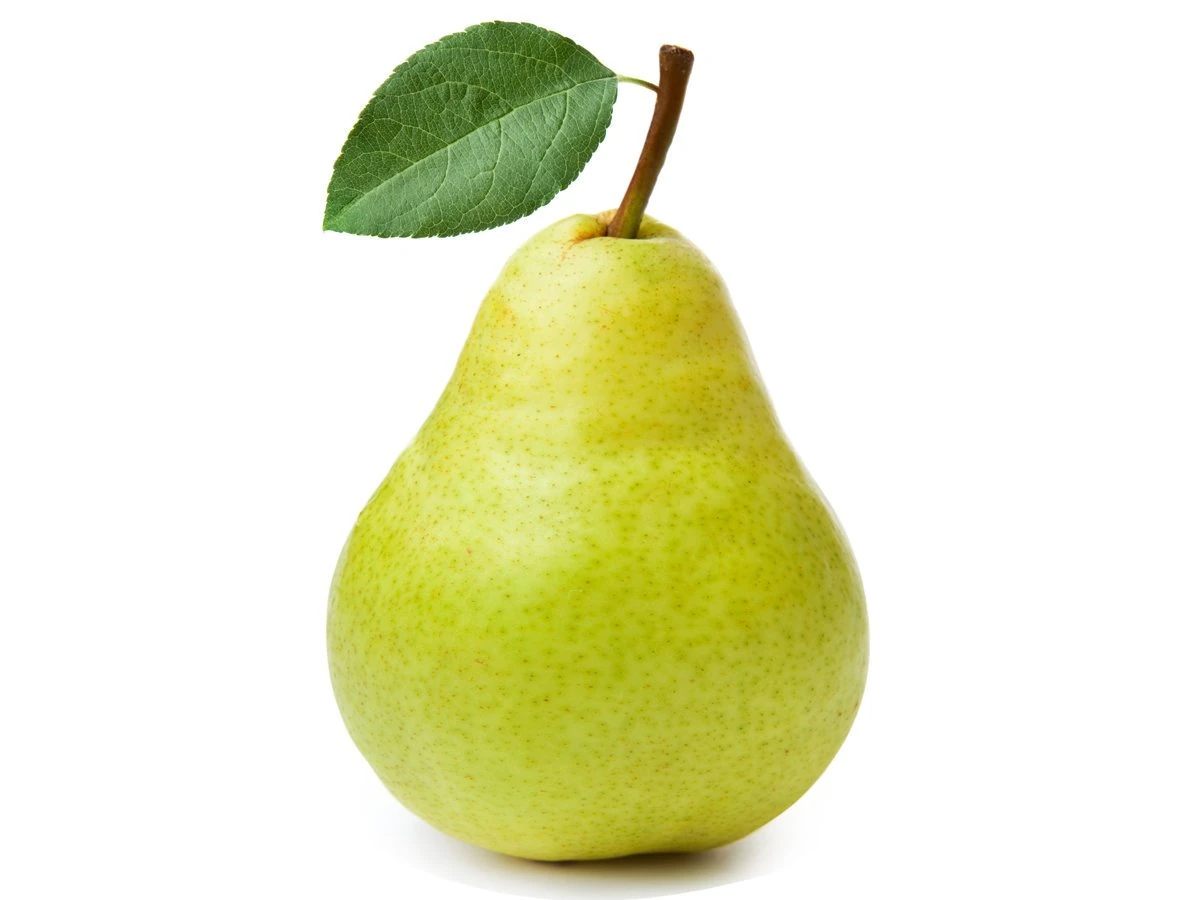Pear | Fruits' Information Wiki | Fandom