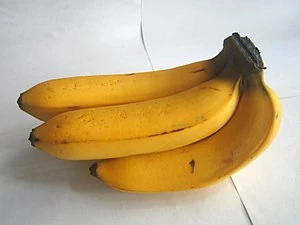 Lakatan Banana | Fruits' Information Wiki | Fandom