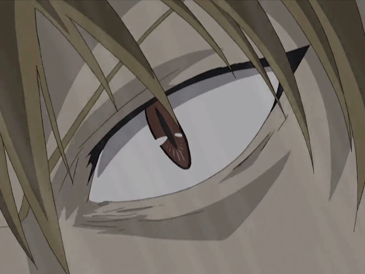 True Form/Gallery | Fruits Basket Wiki | Fandom