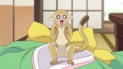 Ritsu Sohma | Fruits Basket Wiki | Fandom