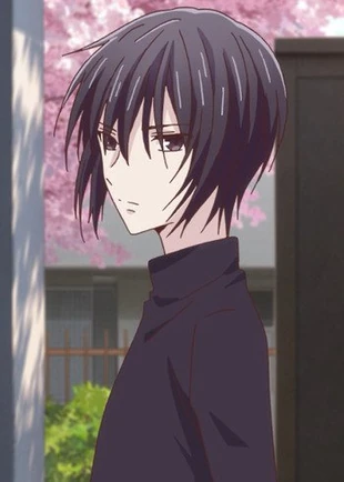 Akito Sohma | Fruits Basket Wiki | Fandom