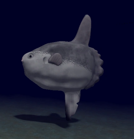 Ocean Sunfish | FS - Fish Simulator Wiki | Fandom