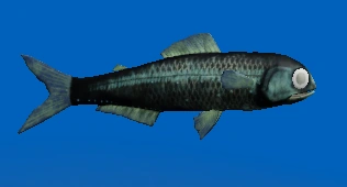 Spotted Lanternfish | FS - Fish Simulator Wiki | Fandom