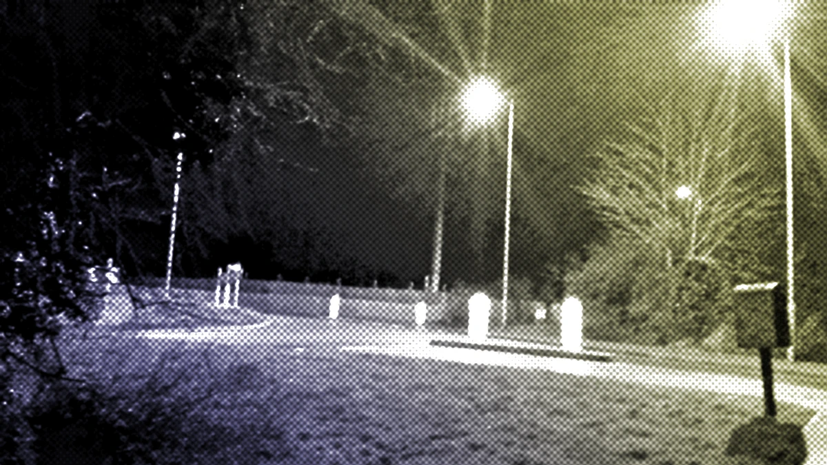 Forke | FT Central Wiki | Fandom