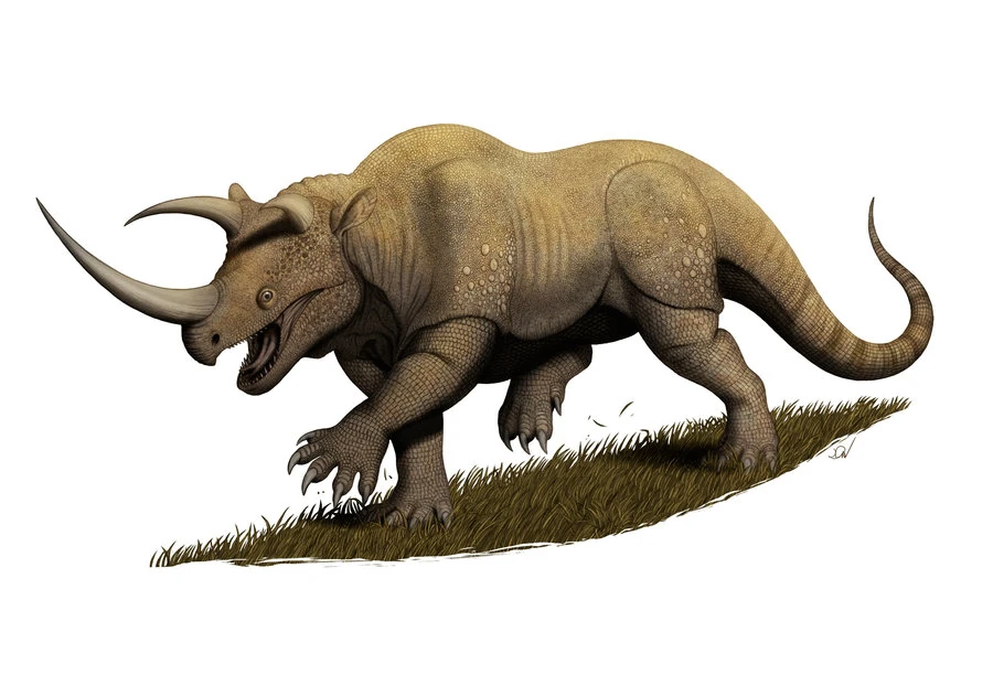 Komodo Rhino | FT Tiandi Wikia | Fandom