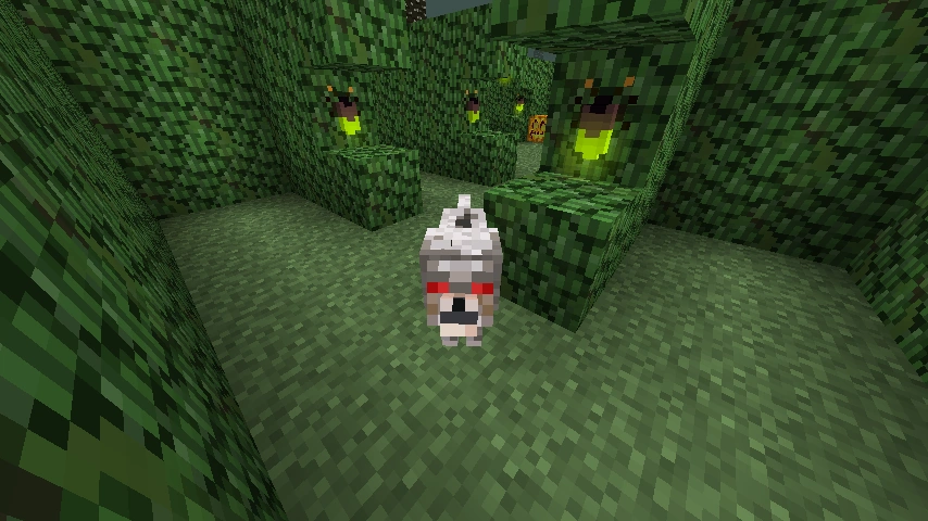 Hostile Wolf - Official Feed The Beast Wiki