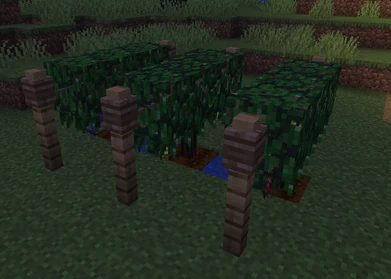 Grapes (Growthcraft) - Official Feed The Beast Wiki