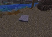 Ash (Supplementaries) - Official Feed The Beast Wiki