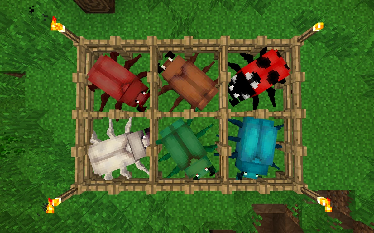 Beetle - Official Feed The Beast Wiki