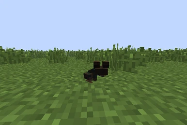 how to make sun grenades witchery